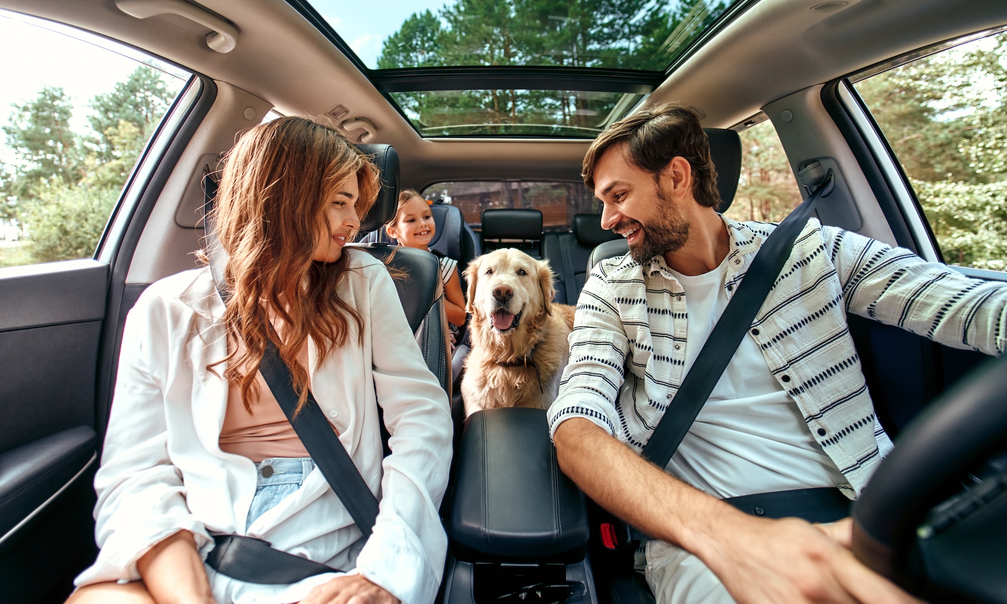 Personal Auto Insurance in North Andover, MA | Segreve and Hall