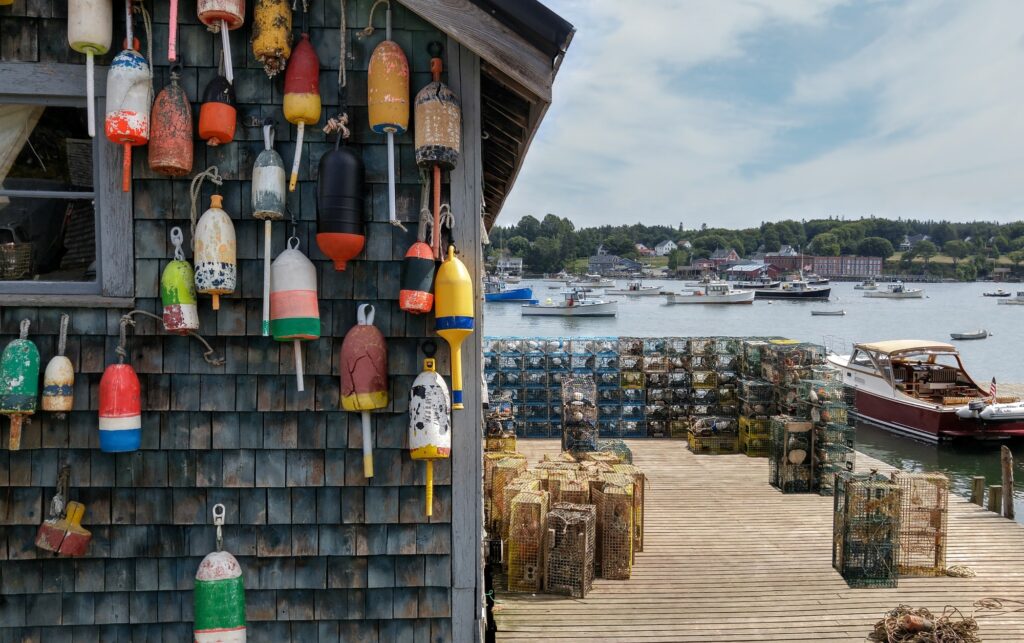 Comprehensive New England Insurance - Segreve and Hall