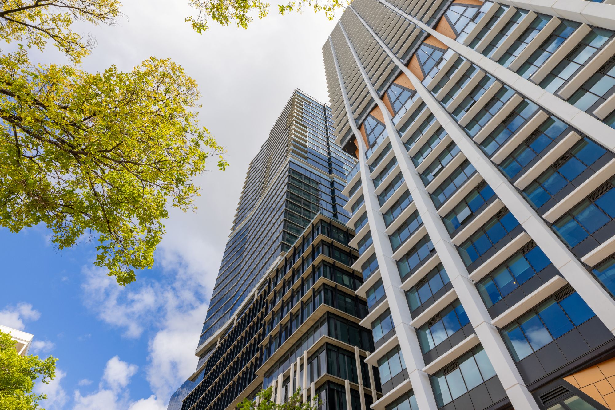 Commercial Insurance - Segreve and Hall